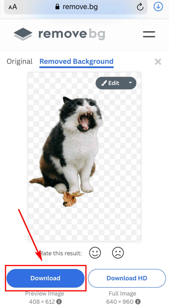 How to Remove Background from Picture on iPhone