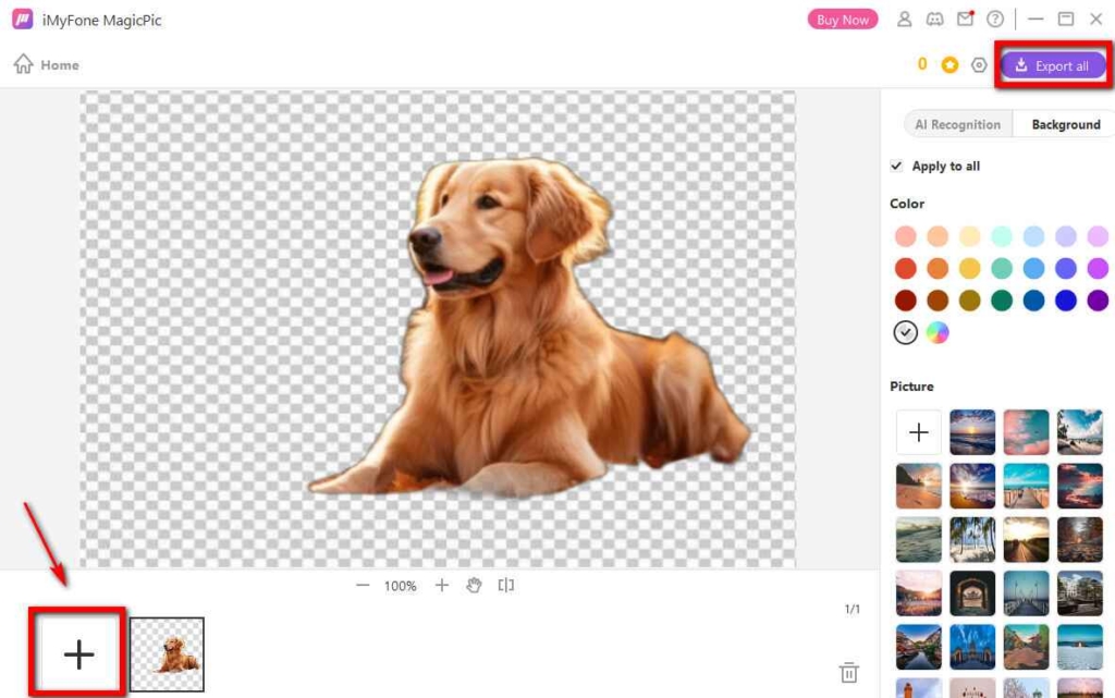 How to Save an Image with a Transparent Background - Best Ways