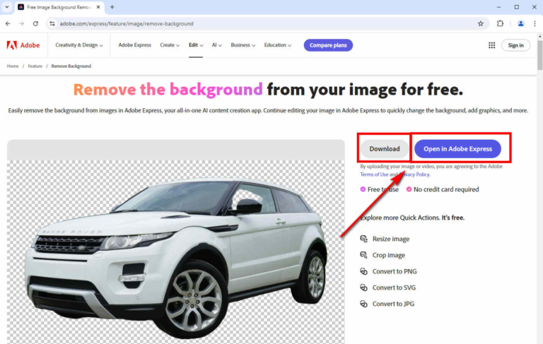 Adobe Background Remover: Pros & Cons and Alternatives