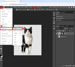 How to Remove Background in Photopea (Full Guide)