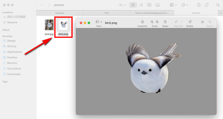 How to Remove Background from Picture on Mac Quickly