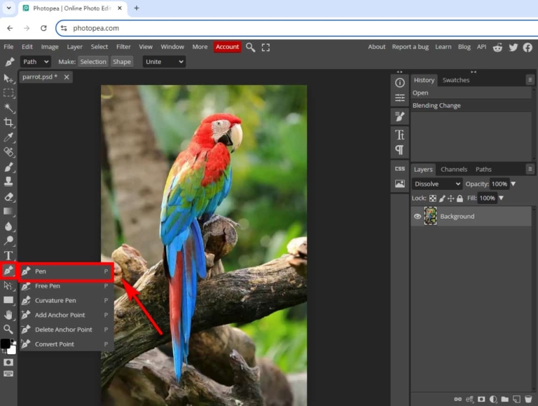 How to Remove Background in Photopea (Full Guide)