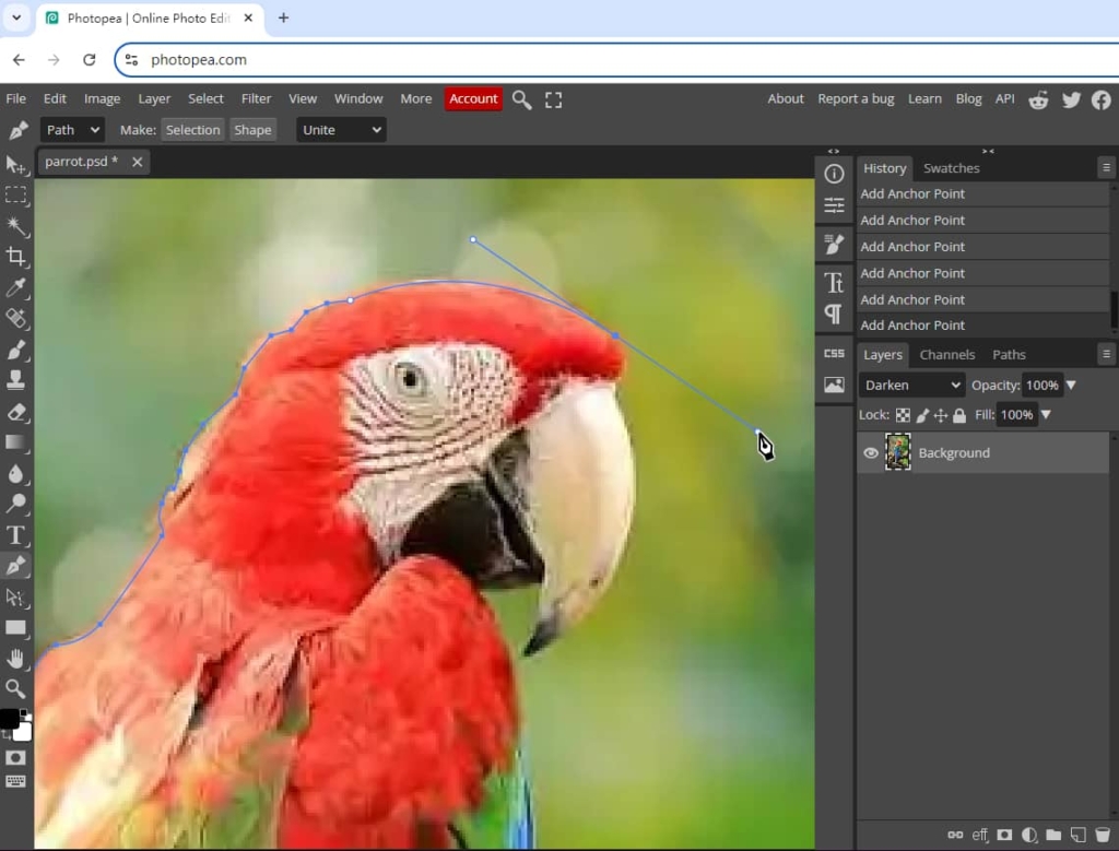 How to Remove Background in Photopea (Full Guide)