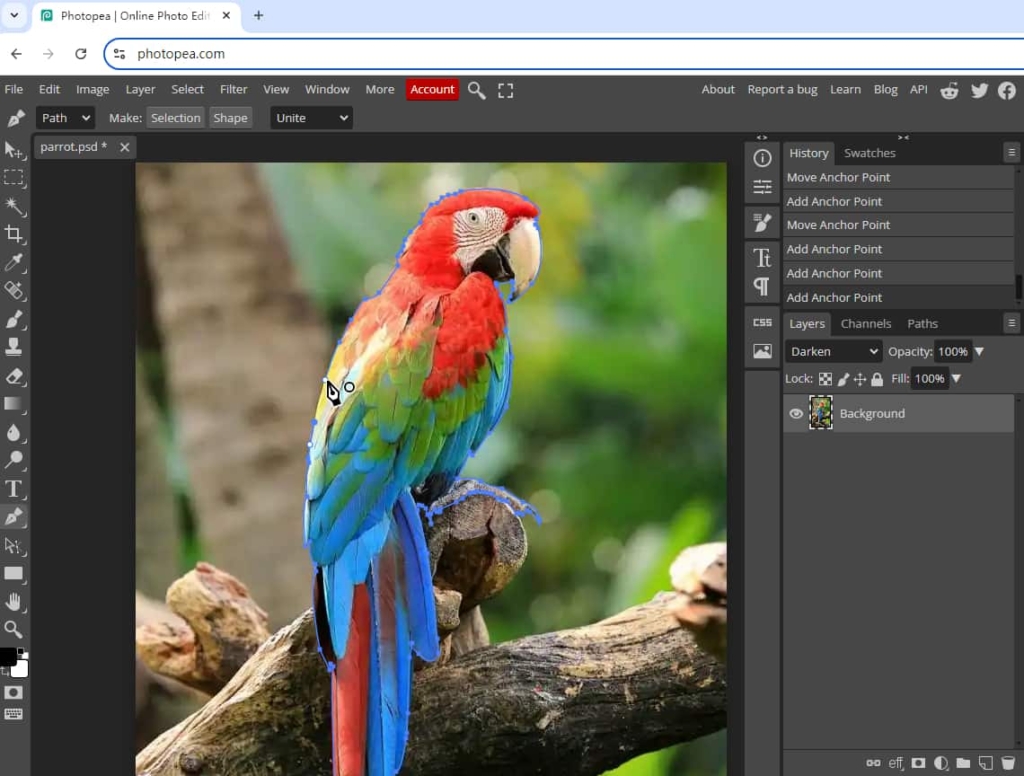 How to Remove Background in Photopea (Full Guide)