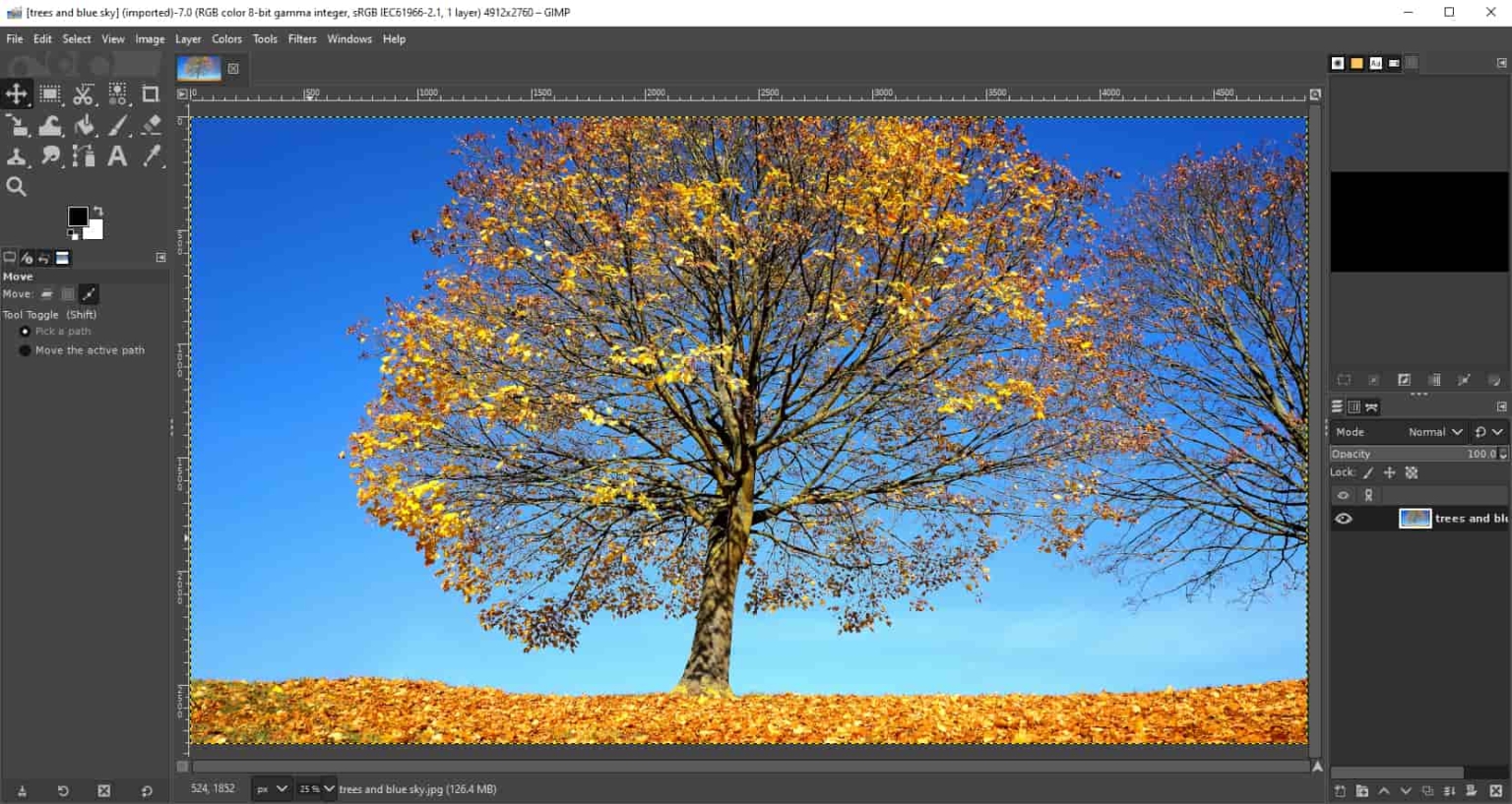 Comprehensive List of 13 Best Background Removers