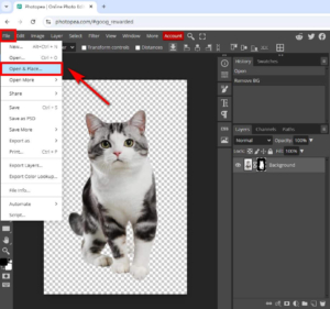 How to Remove Background in Photopea (Full Guide)