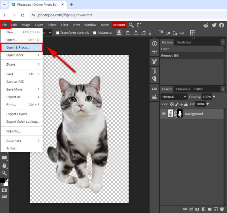 Photopea에서 배경을 제거하는 방법(전체 가이드)