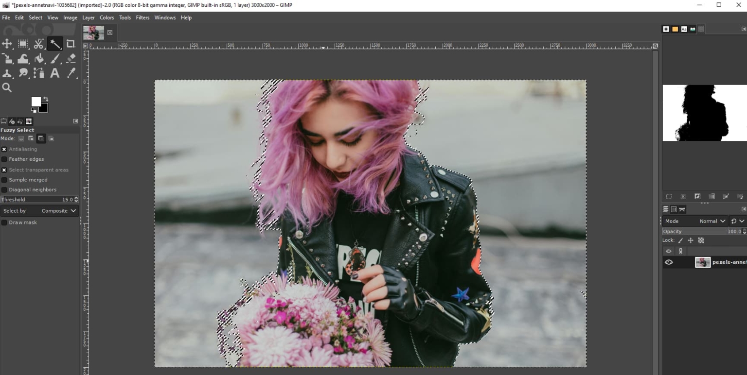 6 maneiras de remover o fundo no GIMP: guia completo