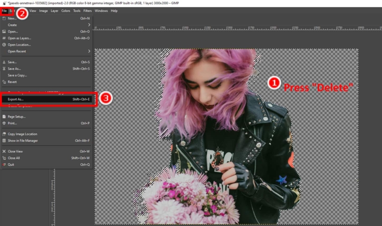 6 maneiras de remover o fundo no GIMP: guia completo