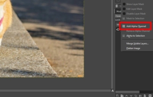 GIMP 中去除背景的 6 种方法：综合指南