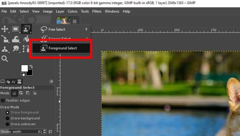 6 maneiras de remover o fundo no GIMP: guia completo