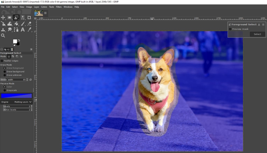 6 façons de supprimer l'arrière-plan dans GIMP : guide complet