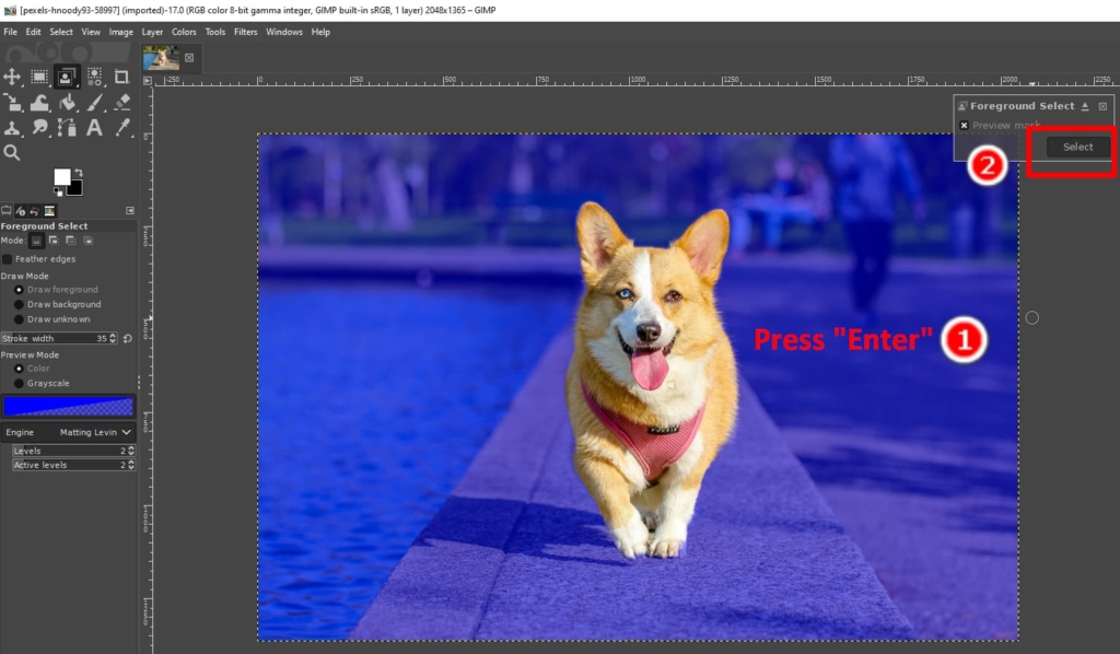 GIMP 中去除背景的 6 种方法：综合指南