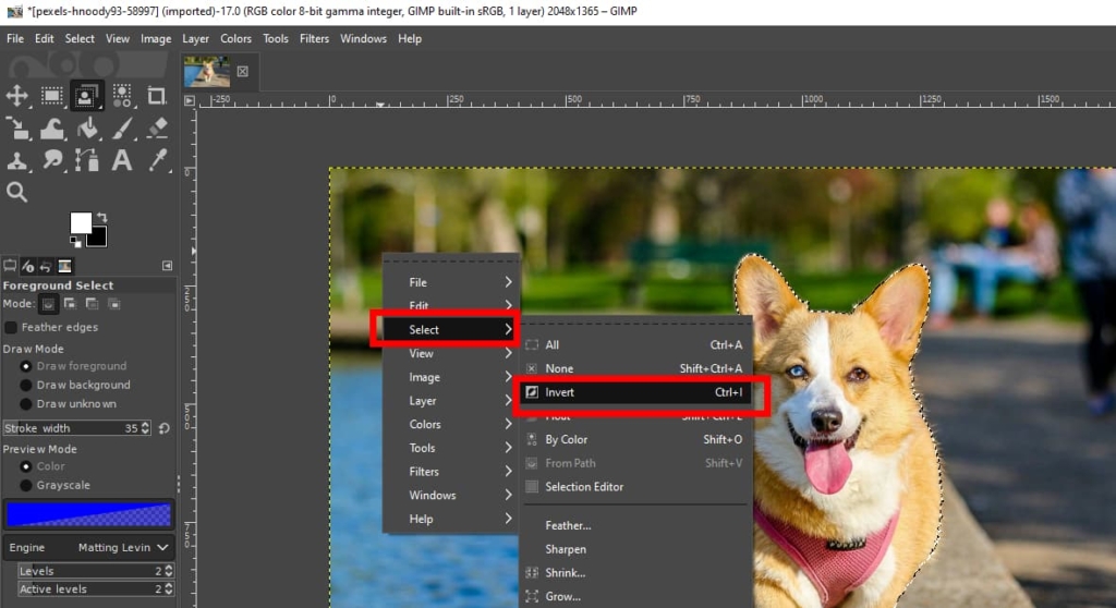6 maneiras de remover o fundo no GIMP: guia completo