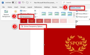 All-in-One: Cara Membuat Gambar Transparan di Word